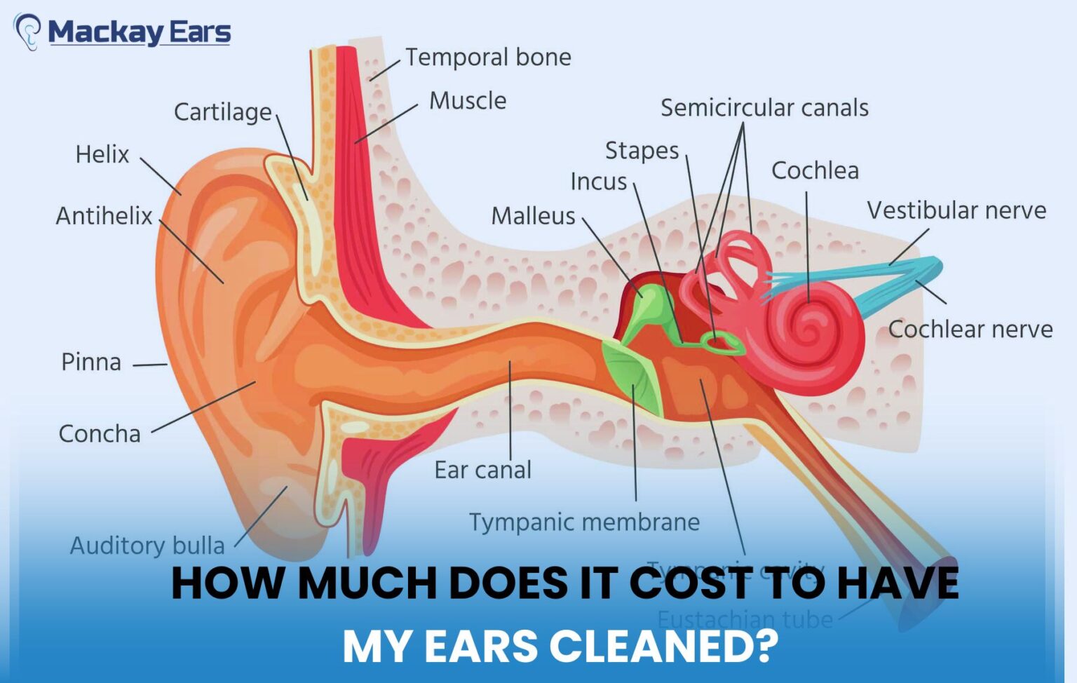 Professional Ear Cleaning And Halotherapy Services in Mackay